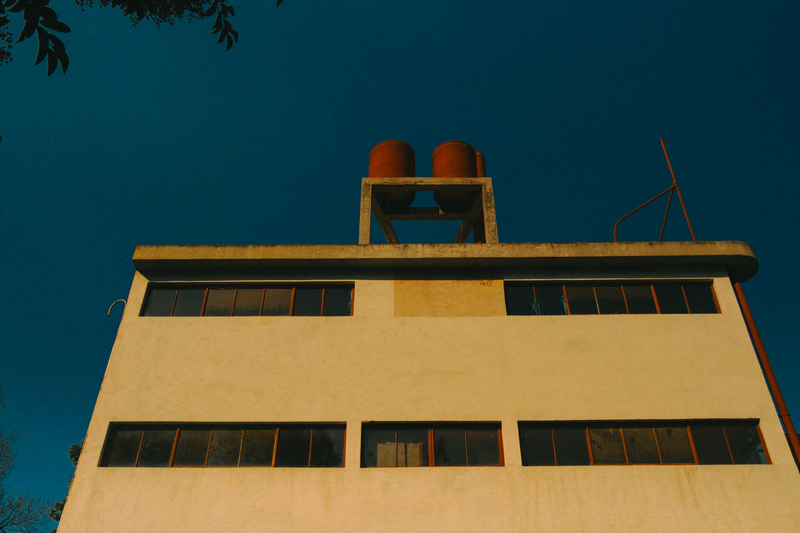 Candice Roterman | The Maptique