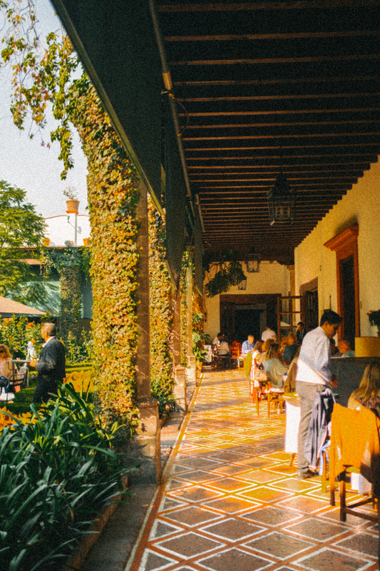 Candice Roterman | The Maptique