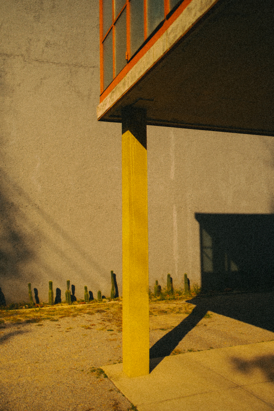 Candice Roterman | The Maptique